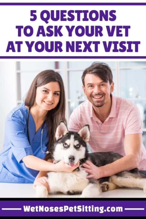 5 Questions to Ask Your Vet - Tips from Wet Noses Pet Sitting
