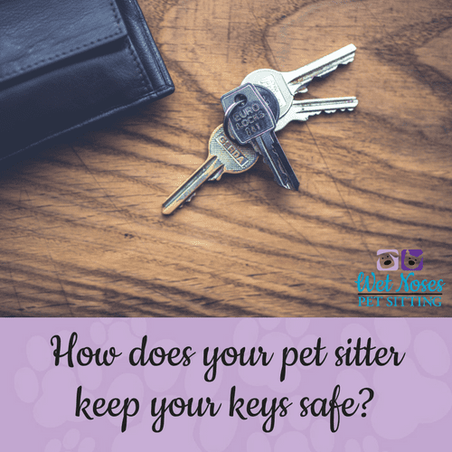 How Does Your Pet Sitter Keep Your Keys Safe? Wet Noses FYI
