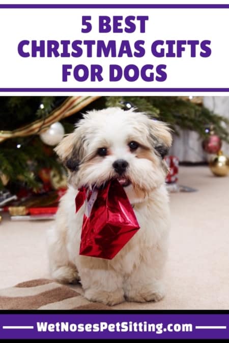 The Best Holiday Gifts For Dogs - Ideas from Wet Noses Pet Sitting
