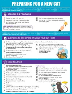 Preparing for a new cat checklist - Wet Noses Pet Sitting