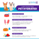 The Importance Of Keeping Your Pets Hydrated - Wet Noses Pet Sitting