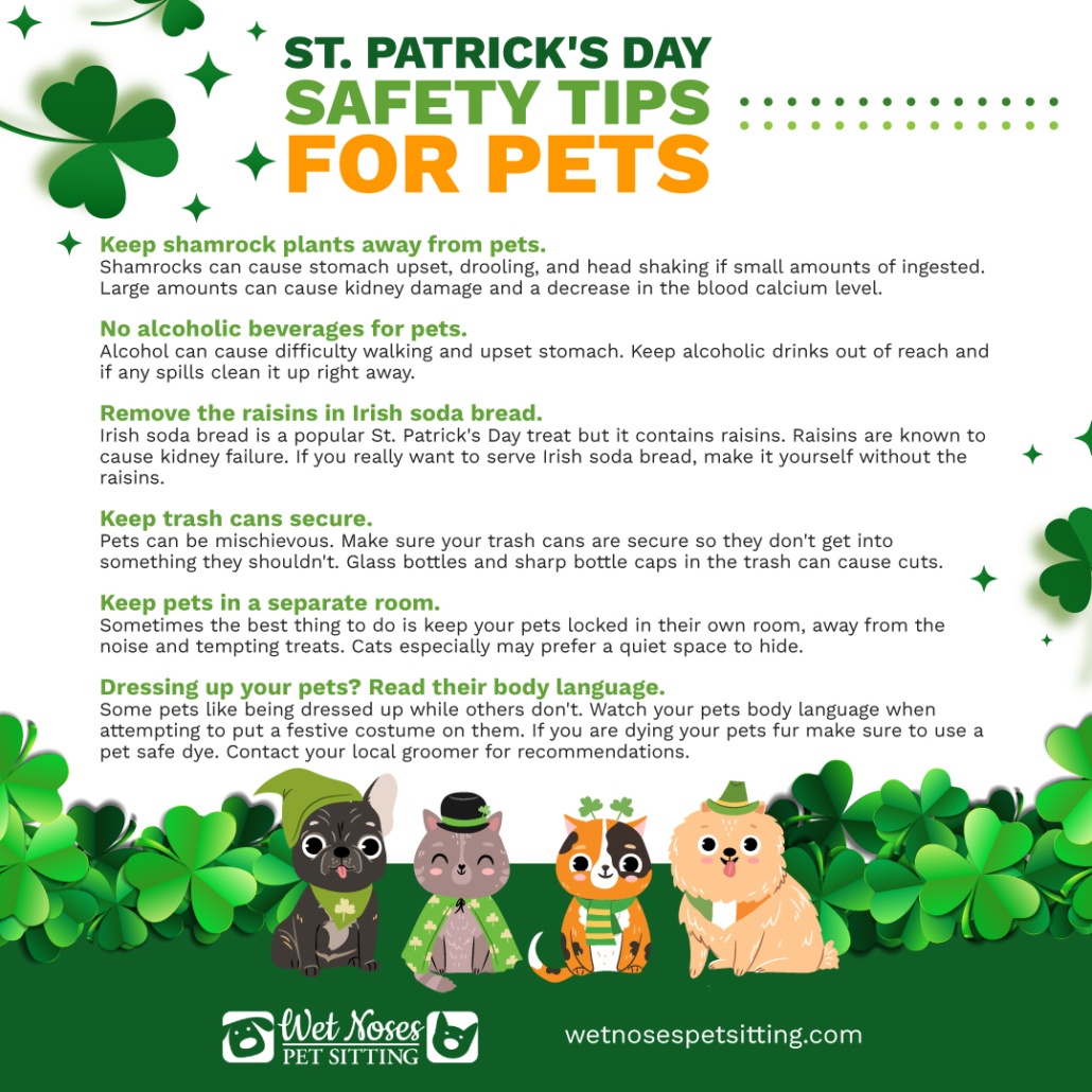 6 St. Patrick's Day Safety Tips for Pets - Wet Noses Pet Sitting