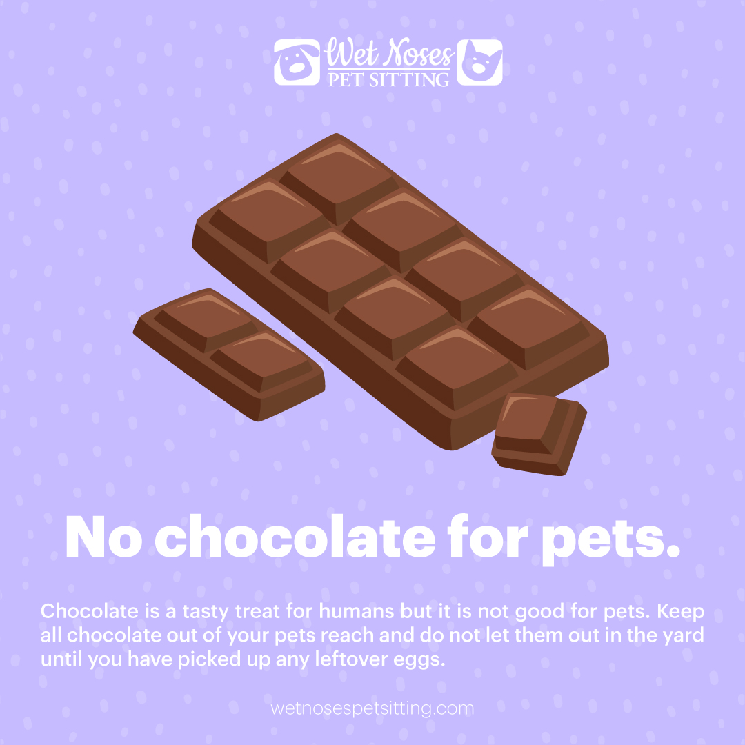 6 Easter Safety Tips for Pets - Wet Noses Pet Sitting