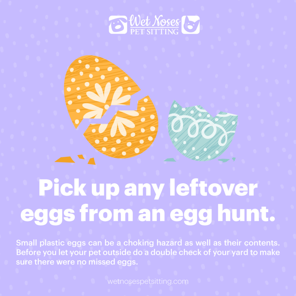 6 Easter Safety Tips for Pets - Wet Noses Pet Sitting