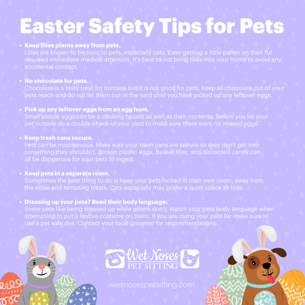 6 Easter Safety Tips for Pets - Wet Noses Pet Sitting