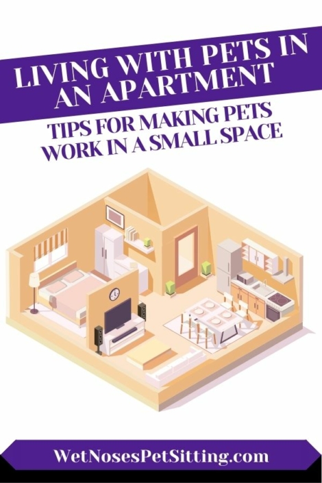 Living with Pets in an Apartment - Tips for Making Pets Work in a Small ...