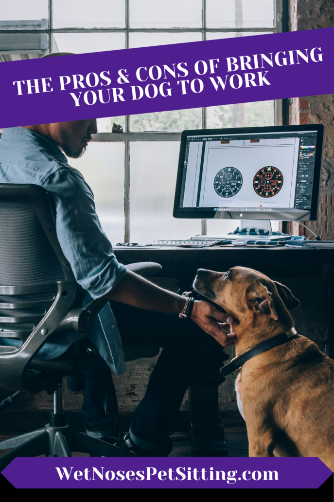 Pros and ConsThe Pros & Cons of Bringing Your Dog to Work