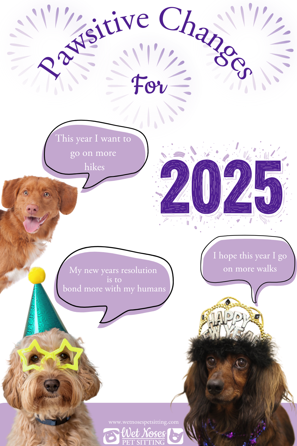 Pawsitive Changes for 2025 - Wet Noses Pet Sitting
