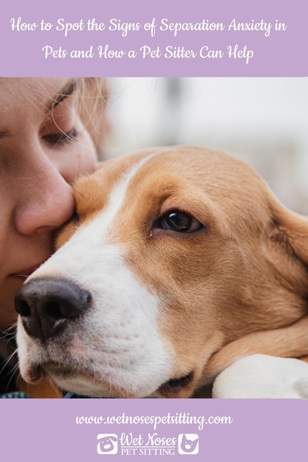 How to Spot the Signs of Separation Anxiety in Pets and How a Pet ...
